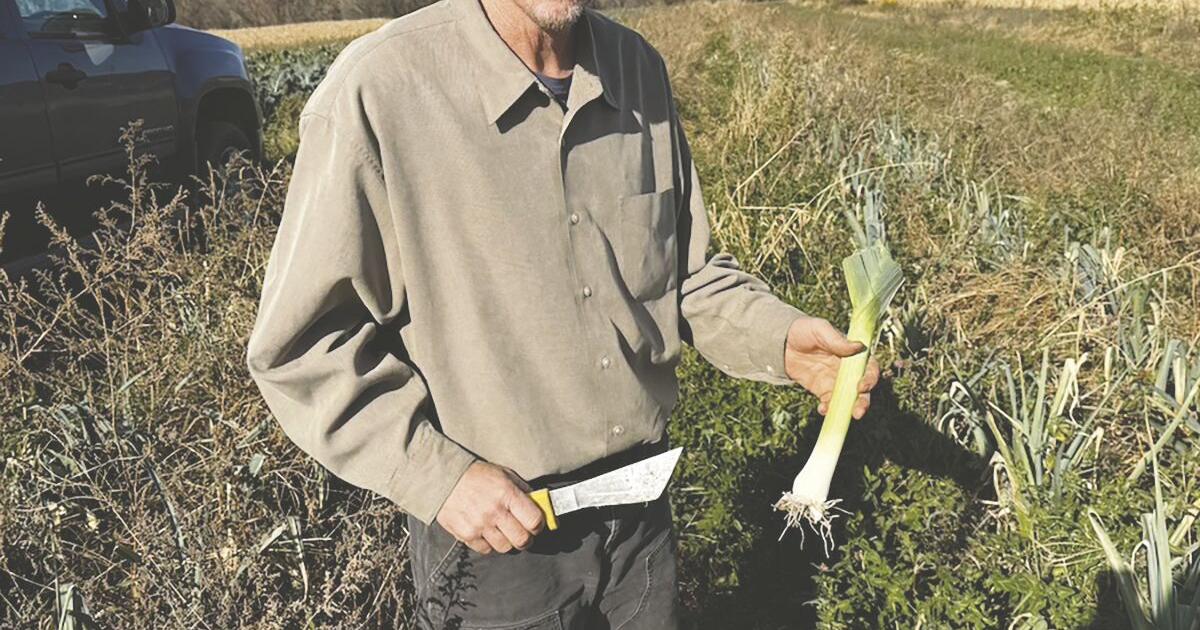 Free food program deemed a success in Delaware | Local News ...