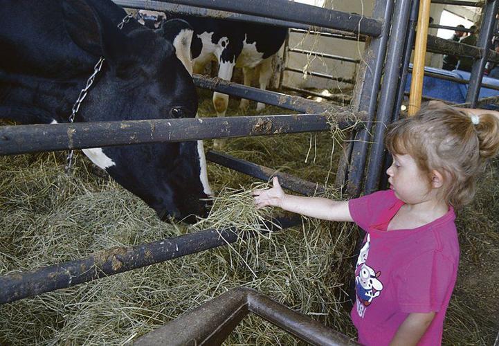 Delaware farm tour features 3 farms | Local News | thedailystar.com