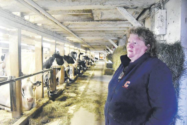 Local dairy farms receive state grants to modernize | Local News ...