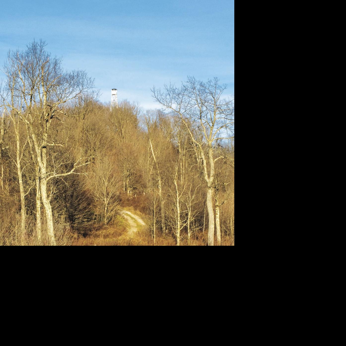 Tenn. man to stand trial for Islamberg threats | Local News ...