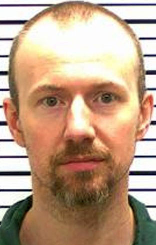 Reports: David Sweat shot, in custody | | thedailystar.com