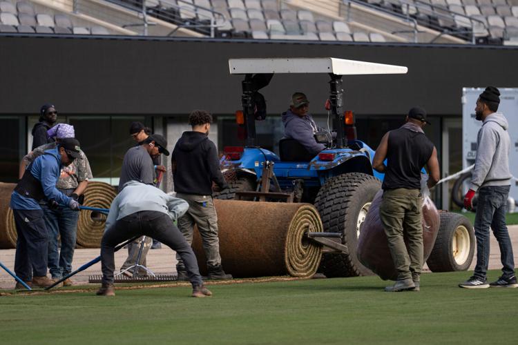 The World Cup pitches are the result of years of engineering to find ...