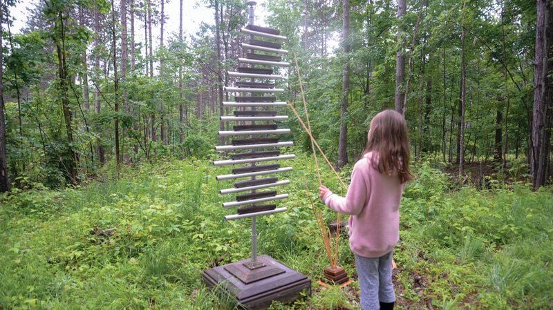 Group mounts art exhibit in local state forest | Local News ...