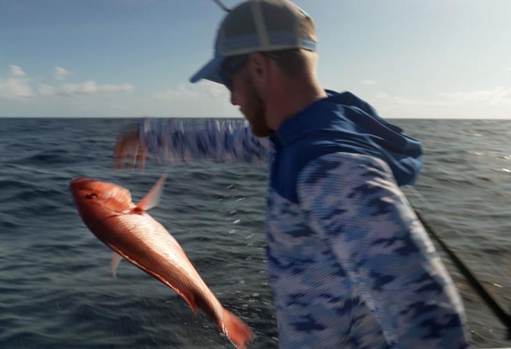 Fishermen prepared for the longest red snapper season in recent memory ...