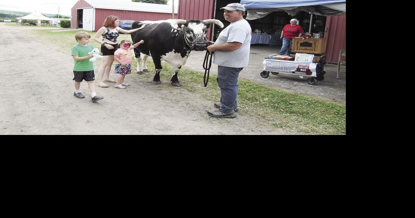 Afton Fair opens for the 133rd year | News | thedailystar.com
