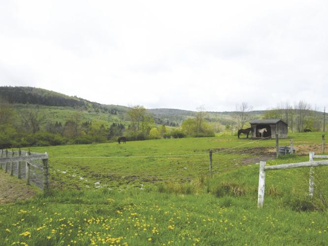 Town board likely to vote on campground next month | Local News ...