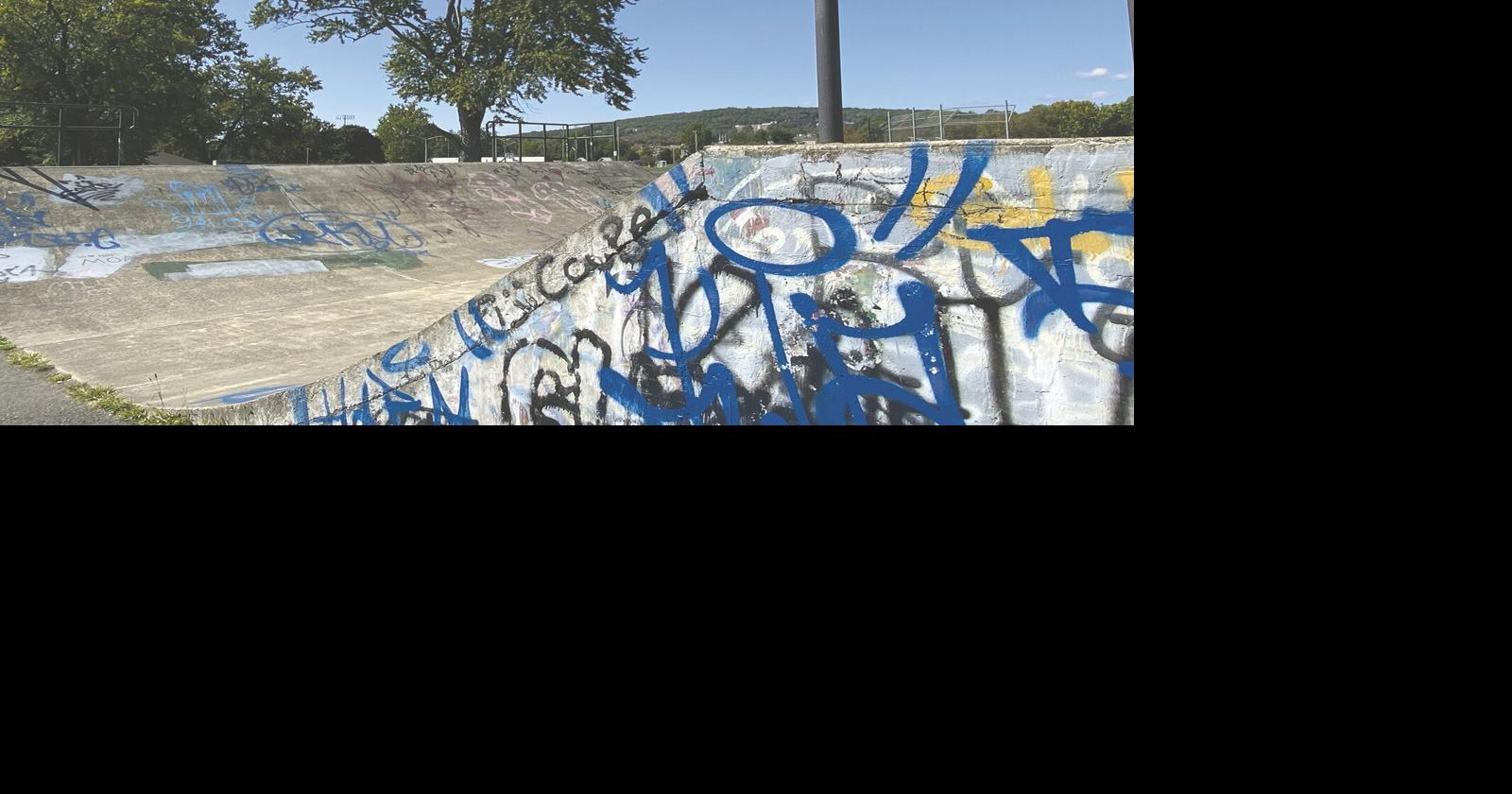 Local skaters pitch using city funds to fix up Oneonta skate park ...