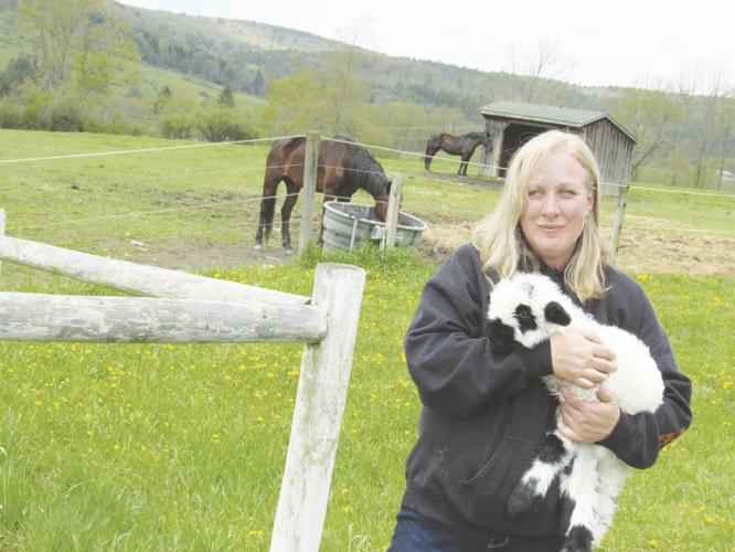 Town board likely to vote on campground next month | Local News ...