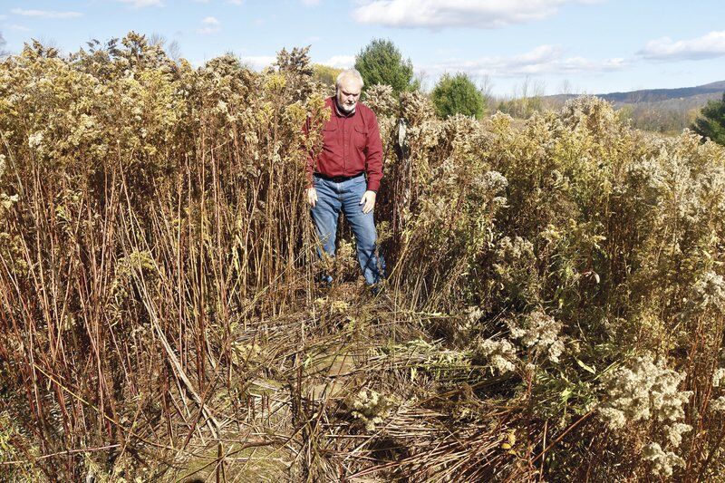Historian finds lost Revolutionary War soldier's grave in Harpersfield ...