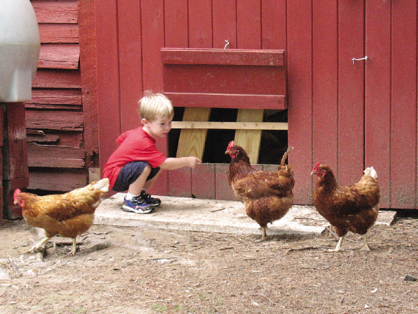FARM STAYS Handsome Brook embraces newest tourist adventure ...