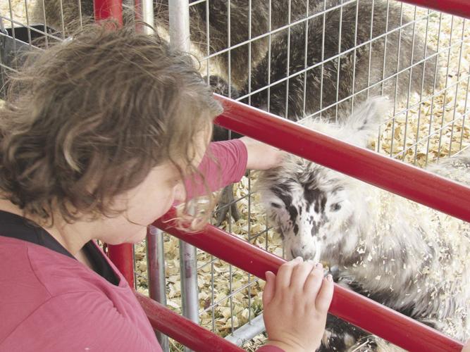 Otsego County Fair opens with new roads, added vendors | Local News ...