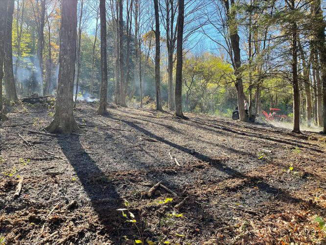 DEC forest rangers assist in Hancock, Hartwick | Local News ...