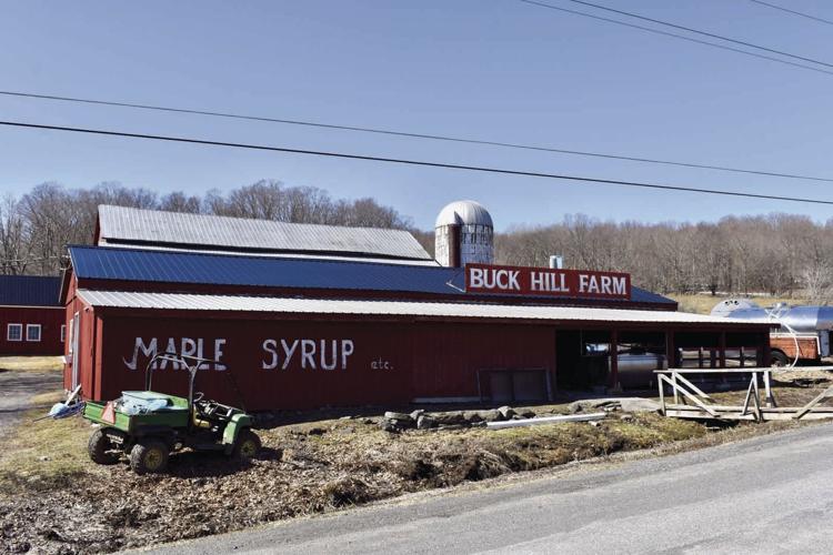 Maple farms make best of lull from pandemic: A gallery | Featured ...