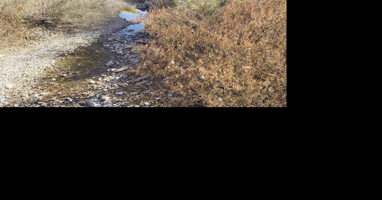 Delaware, Schoharie now under drought warning | Local News ...