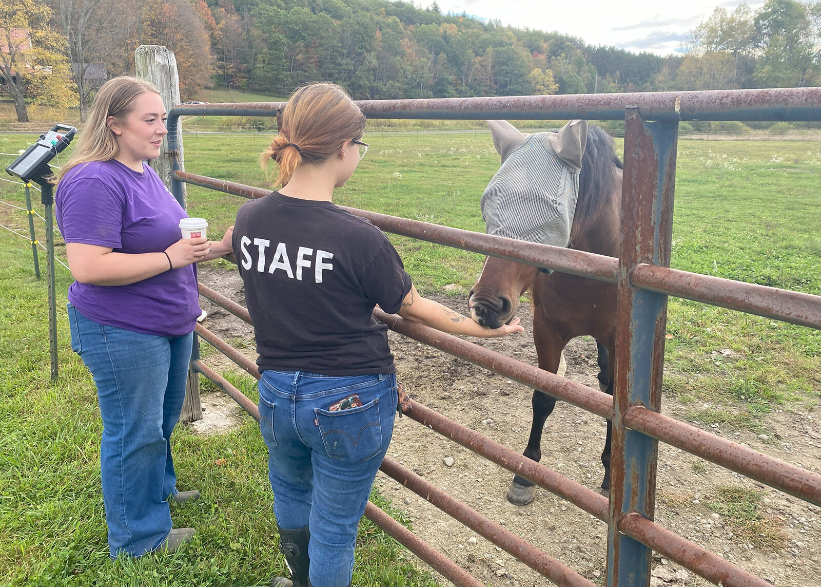 Susquehanna SPCA buys a farm to care for large animals | | thedailystar.com