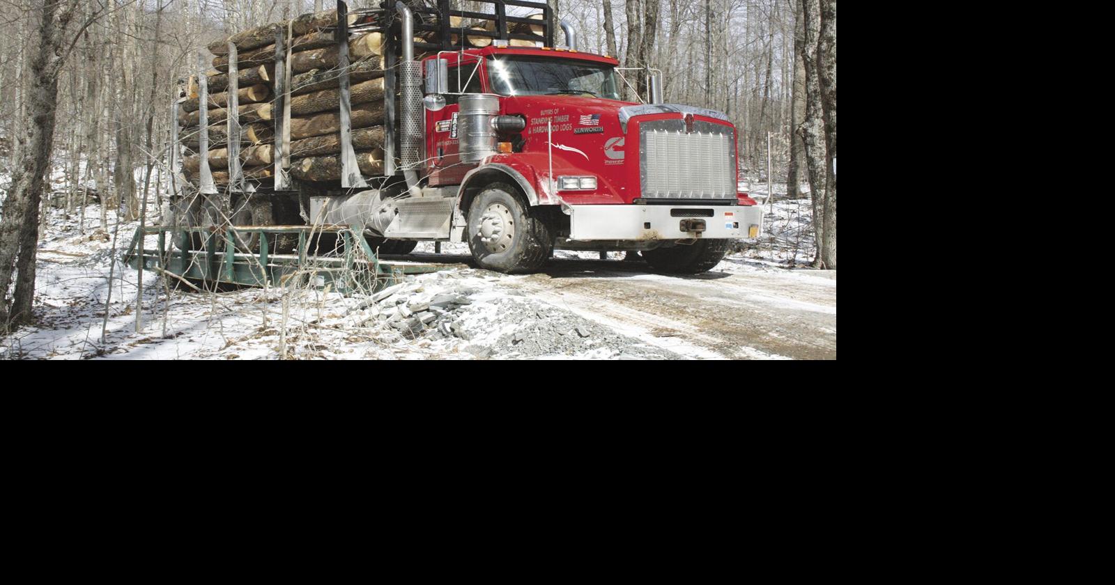 Portable bridges are available for loggers | News | thedailystar.com