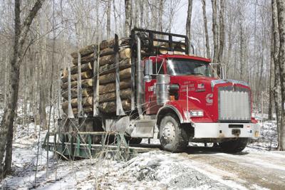Portable bridges are available for loggers | News | thedailystar.com