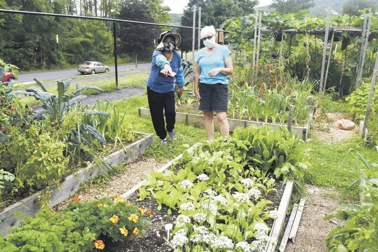 Oneonta Community Garden wraps up busiest season yet | Local News ...