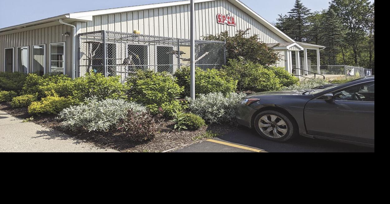 Chenango County SPCA to receive state funds | News | thedailystar.com