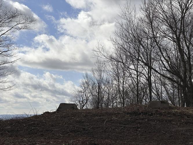 Bramley Mountain Fire Tower to be built in June | News | thedailystar.com