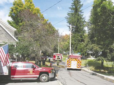 Cat missing after house fire in Oneonta | Local News | thedailystar.com