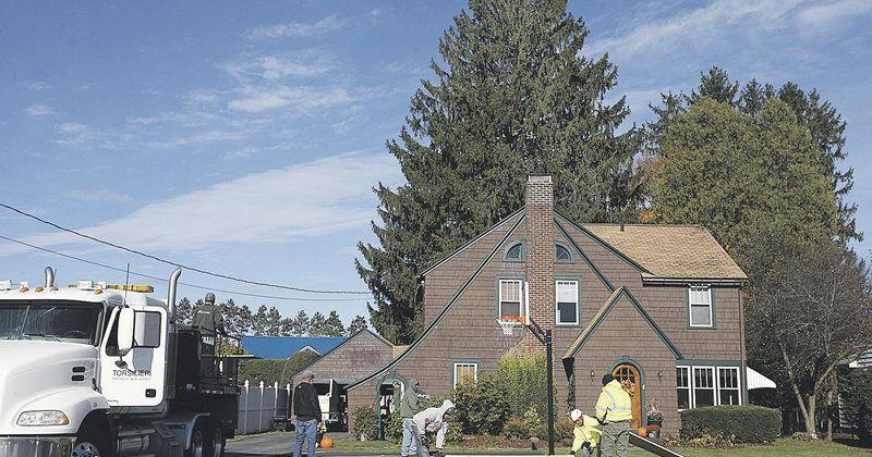 Oneonta tree to grace Rockefeller Center | Local News | thedailystar.com