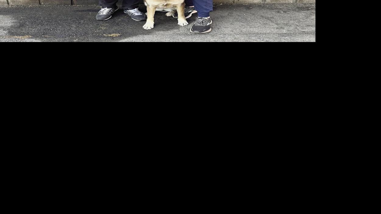 Wick field hockey outlasts RPI at home to open season | Sports ...