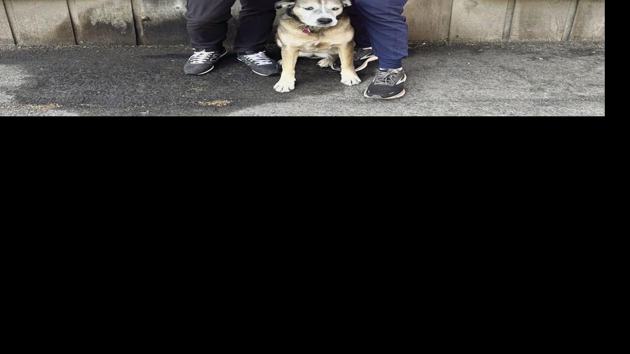 Wick field hockey outlasts RPI at home to open season | Sports ...