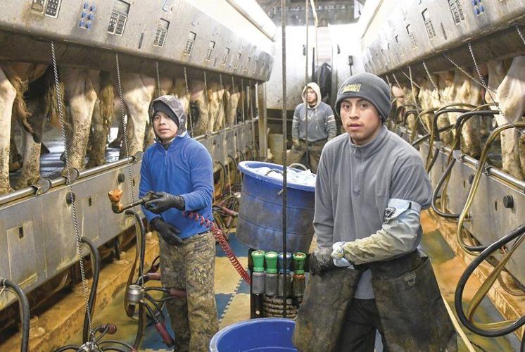 Daily Star Focus: Jan. 29-30, 2022 | Featured | thedailystar.com