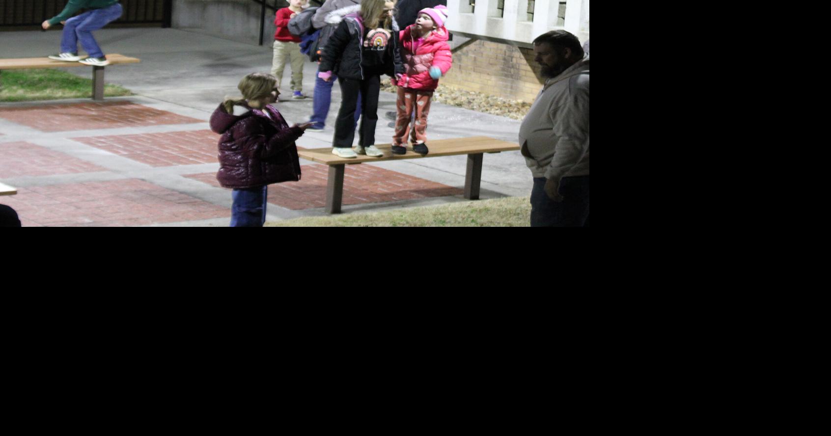 Light of the county: Blount County Festival of Trees filled with fun ...