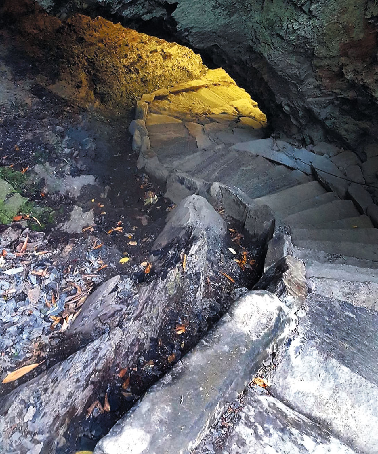 Alum Cave Trail work nearly done for year | News | thedailytimes.com
