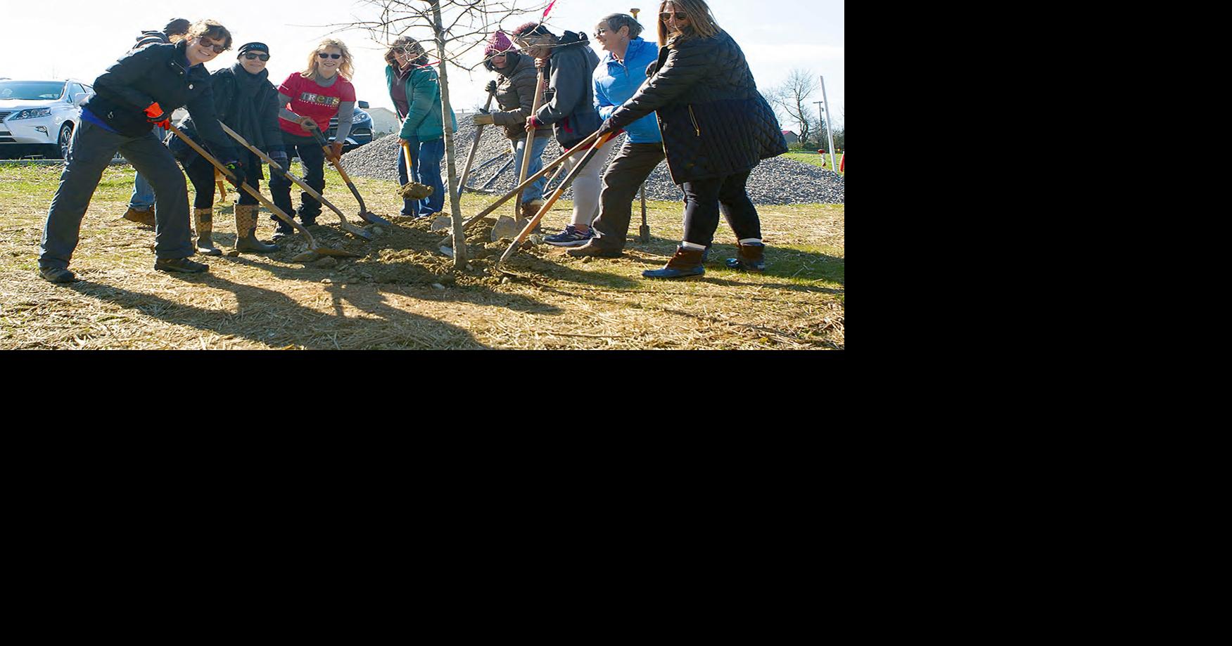 Easy being green: Tennessee Tree Day encourages all to take part in ...