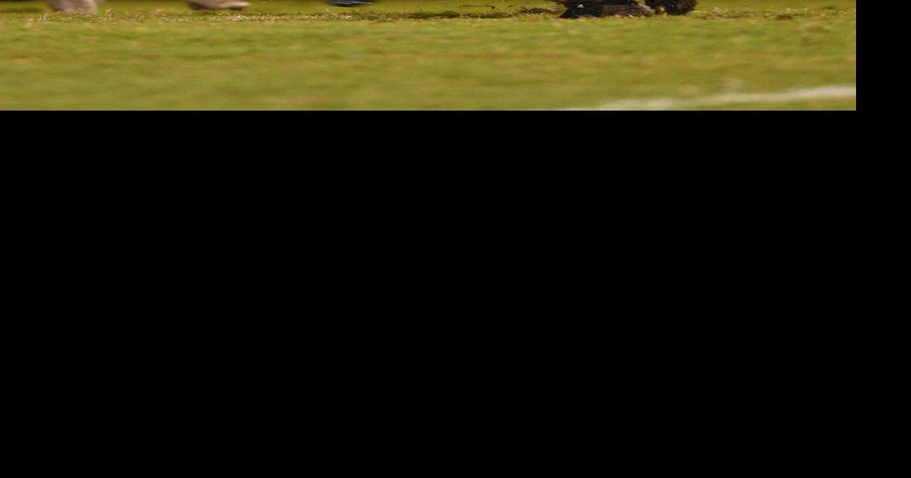 Greenback back to full health ahead of regular season finale with ...