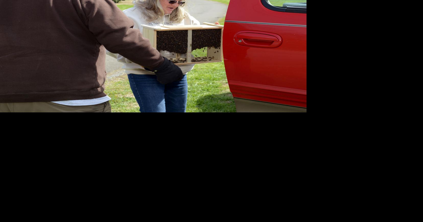 Bee boxes: Smokey Ridge Apiaries selling starters for hives | News | thedailytimes.com