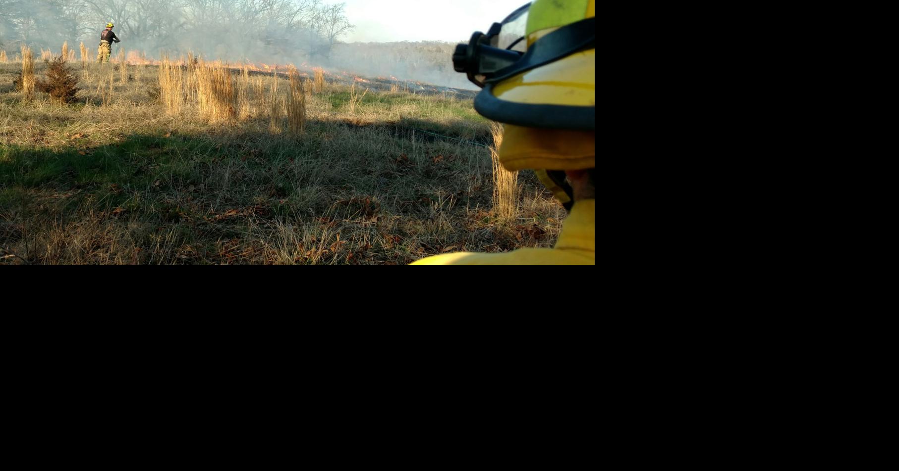 Blount County Fire Department quells Light Pink brush fire | News ...