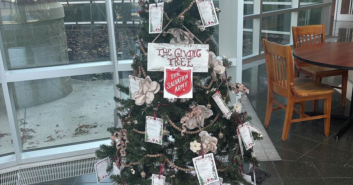 Neighbors needing help: Salvation Army of Blount County launches first ...