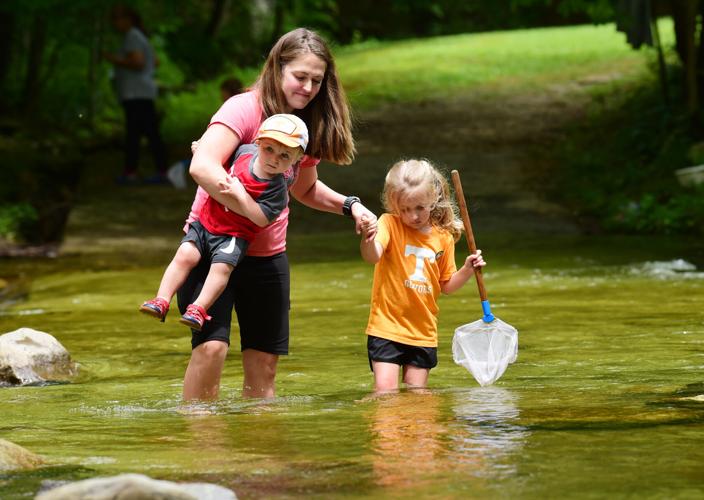 The Great Smoky Mountains Institute at Tremont welcomes visitors at ...