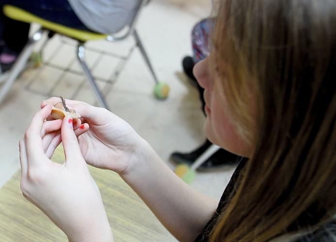 Maryville Christian shows students the possibilities ahead on STEM ...