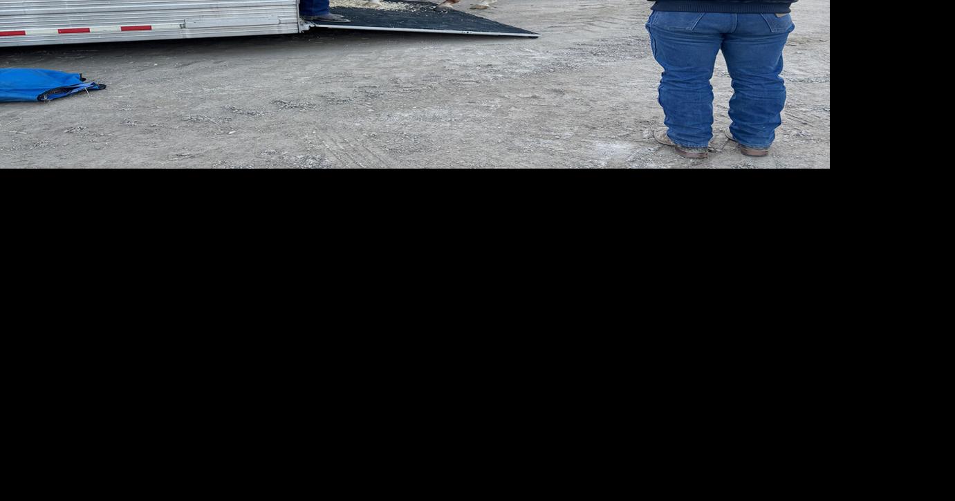 Stopover in Friendsville: Army horse detachment finds rest on trip to D ...