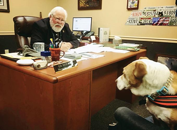 Blount County Animal Center dedicates kennel to celebrate life of Kip ...