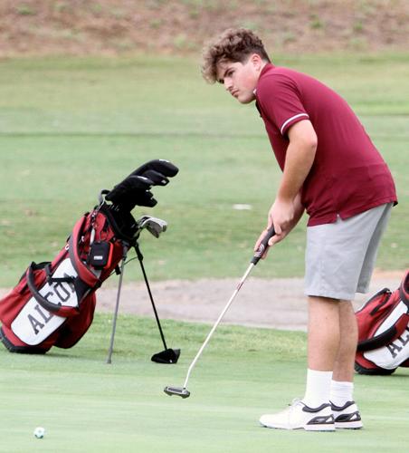 SESI's Lyla Campbell, Alcoa's Jack Smeltzer qualify for state golf ...