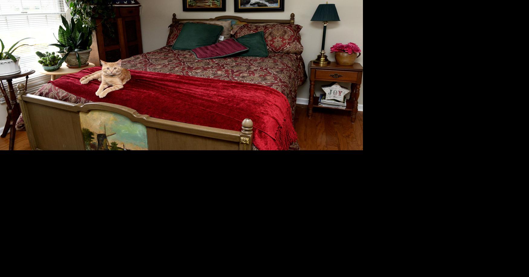 What an artist sees; Maxine Walker never grows tired of her ...