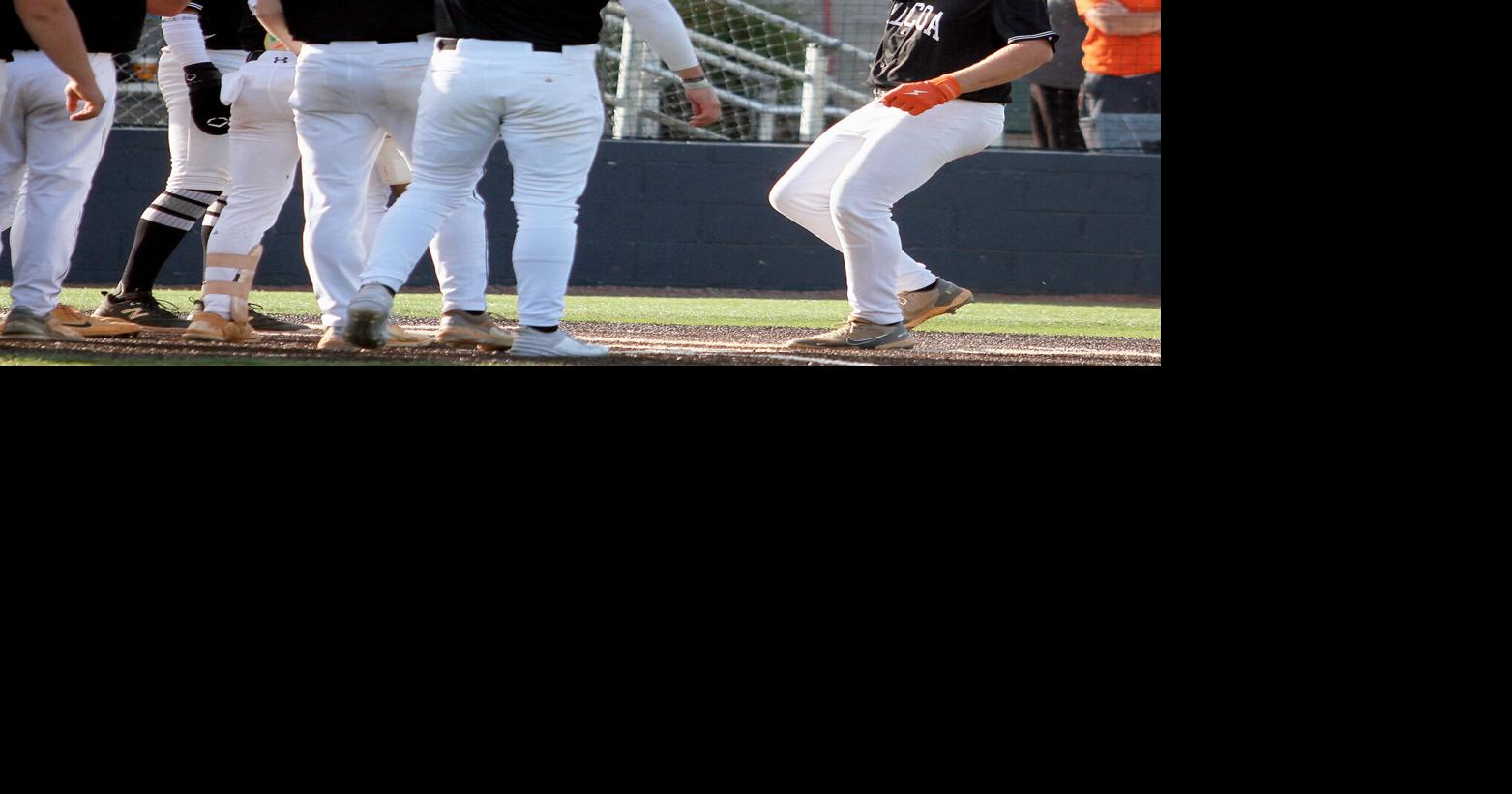 Alcoa baseball ends regular season with win at William Blount | Sports ...