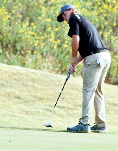 Three area players notch top-10 finishes in Class A state golf ...