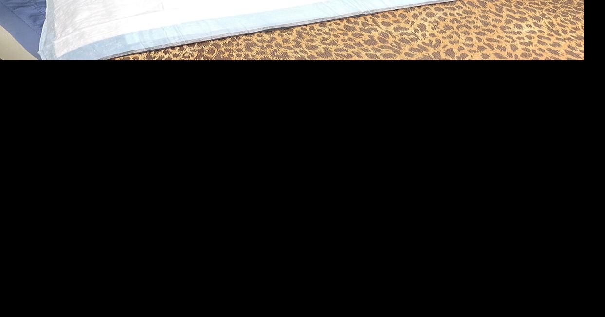 Emaciated bear arrives at Appalachian Bear Rescue in new Land Rover ...