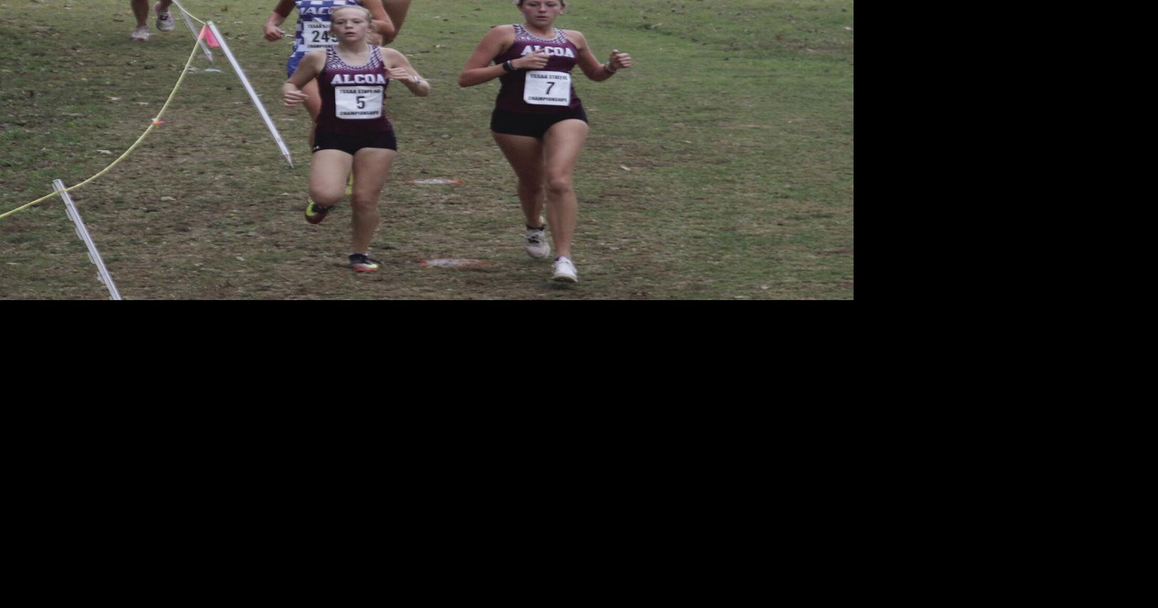 Alcoa cross country runs above seeding at state championships | Sports ...