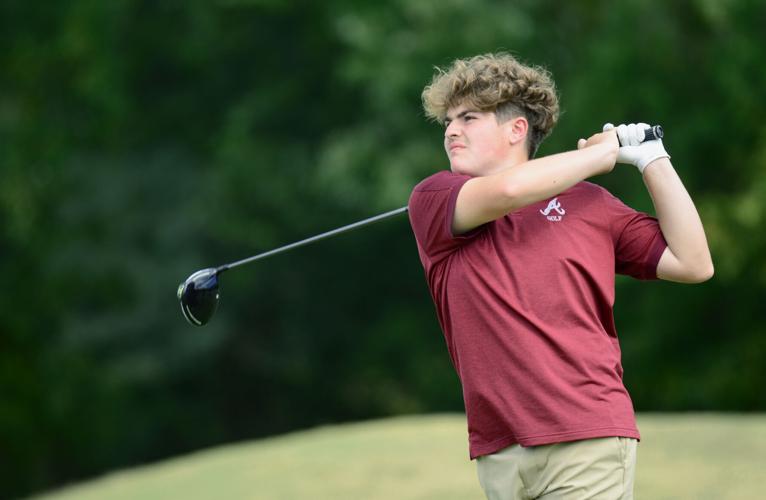 Alcoa boys end season fifth in state tournament | Sports ...