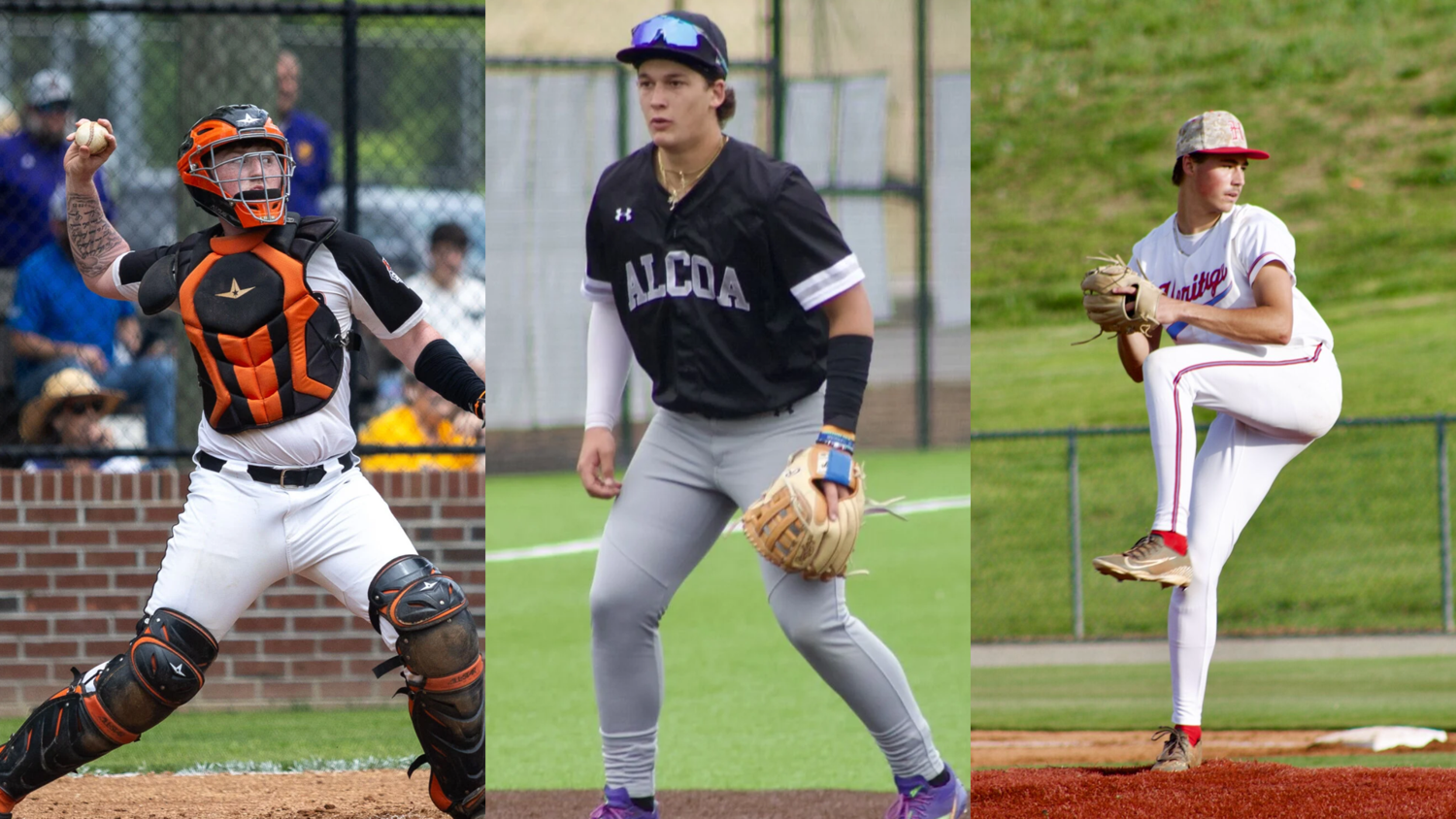 Area baseball players earn TSWA All-State honors | Sports ...