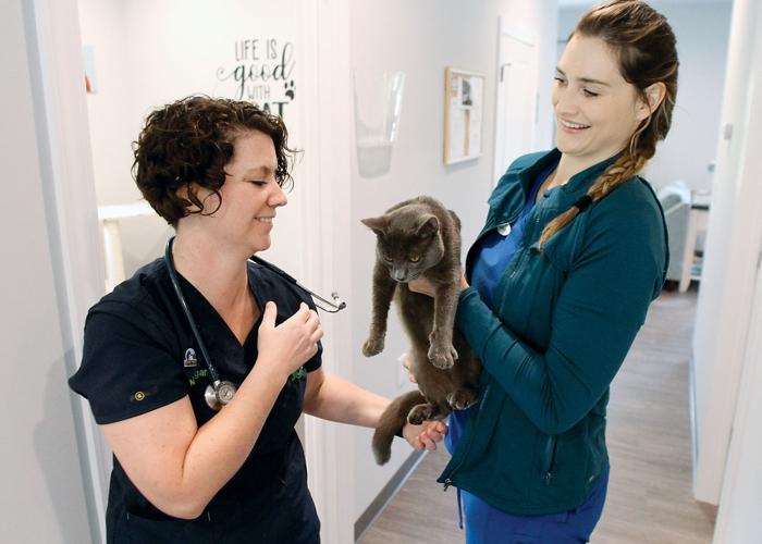 Back in Blount; Dr. Detweiler opens Townsend Animal Clinic | Community ...