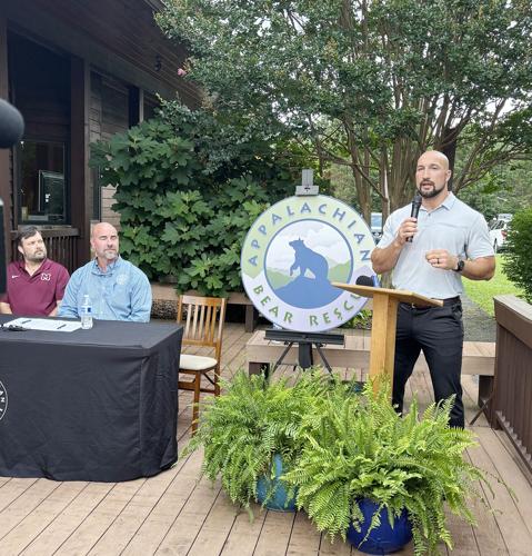 Bears once more: Appalachian Bear Rescue, TWRA sign agreement to ...